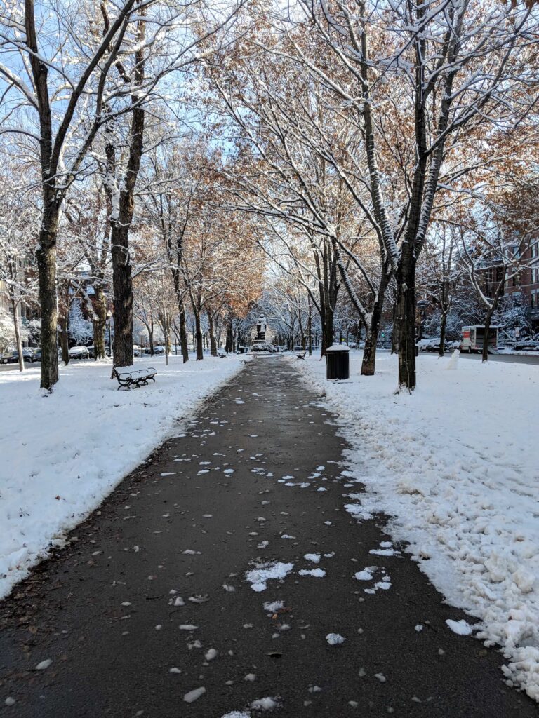 Ice Burner - Premium Canada